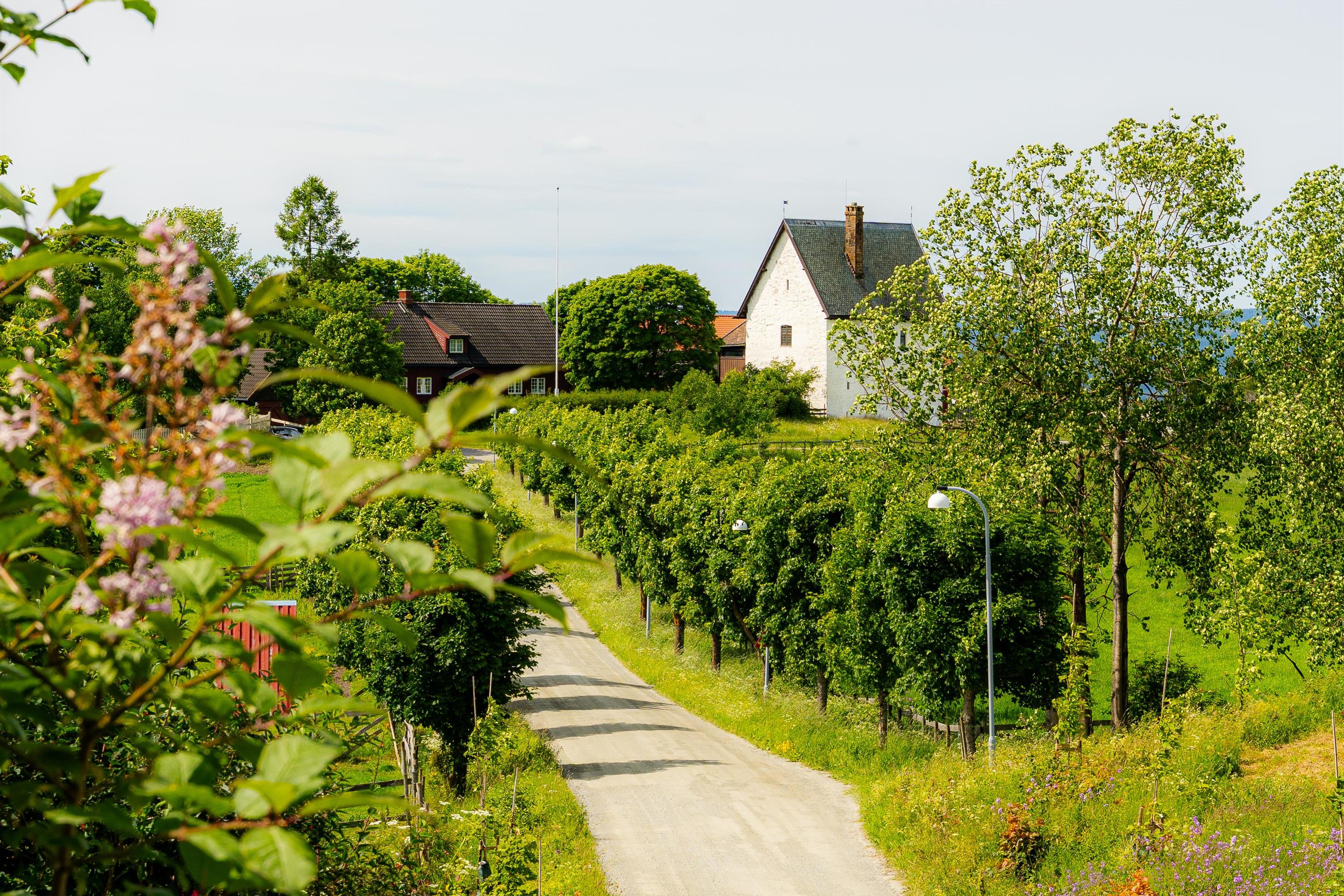 Granavolden Gjæstgiveri - Gemütlich und klassisch - Visit Øst-Norge